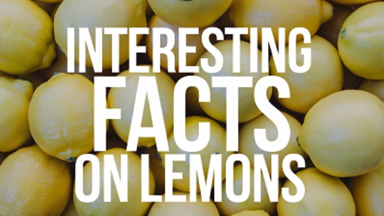 “Zesty Surprises: 10 Lemon Facts That’ll Squeeze the Wow Out of You ...