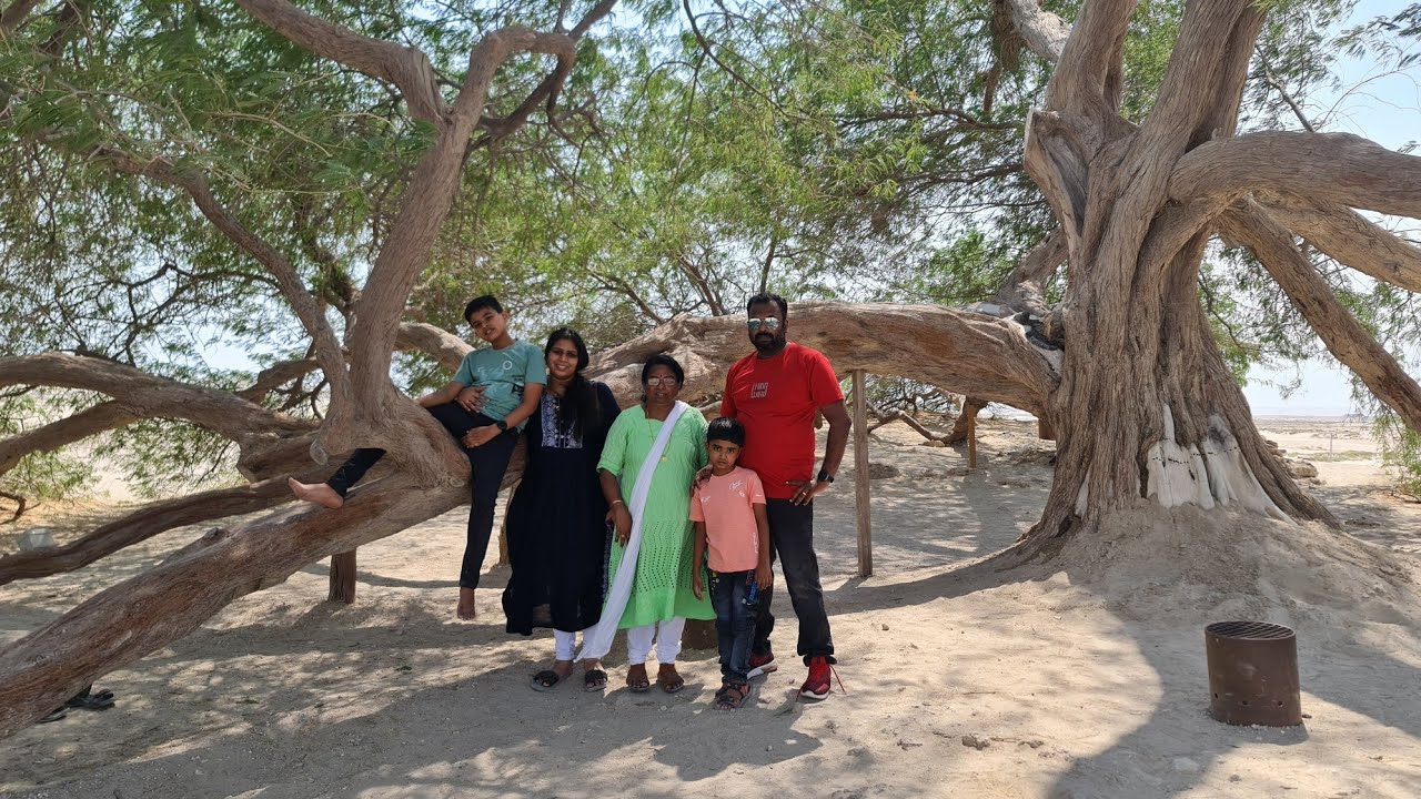 Bahrain Tree of Life & First Oil Well 🇧🇭 - YouTube