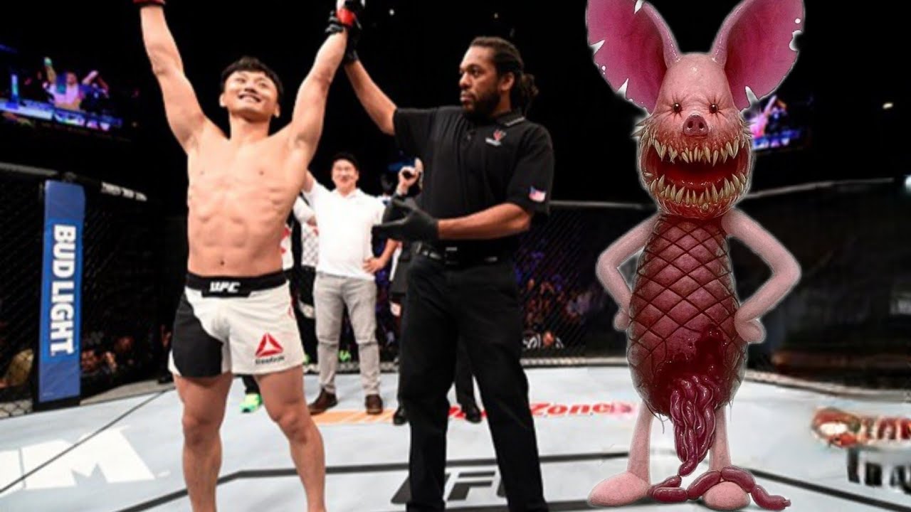 UFC4 | Dooho Choi vs Mini Pig (EA Sports UFC 4) wwe mma - YouTube