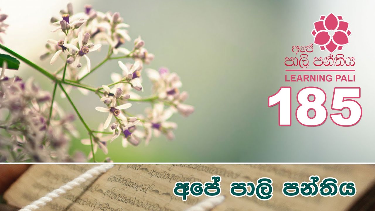 අපේ පාලි පන්තිය 185 | Learning Pali Language - YouTube