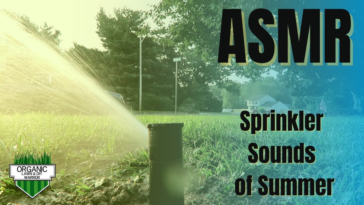 ASMR SPRINKLERS | Sound ambience from a summer night | 1 hour of lawn ...