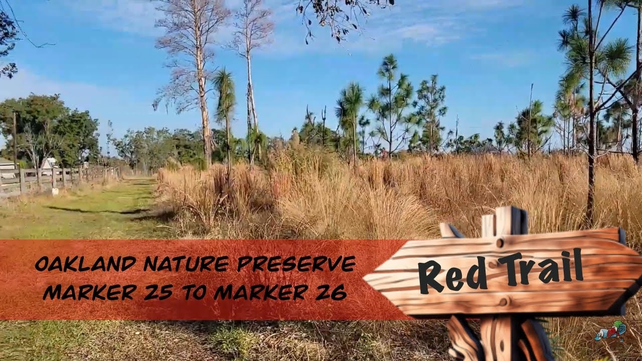 RED TRAIL: Marker 25 to Marker 26 in Oakland Nature Preserve - YouTube