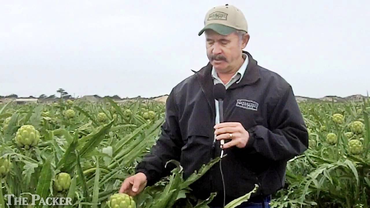 Bonus Clip: Dale Huss' Artichoke Recipe - YouTube