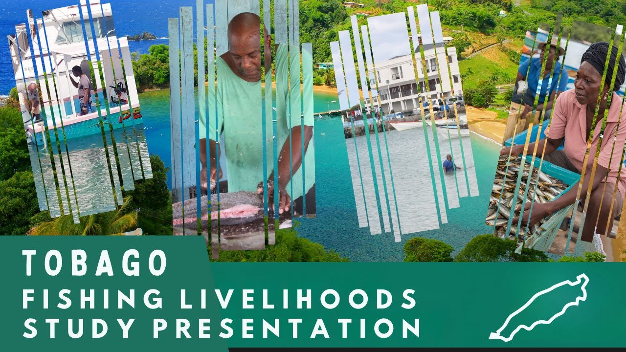 Presentation on Tobago Fishing Livelihoods Study by the TFLS Project ...