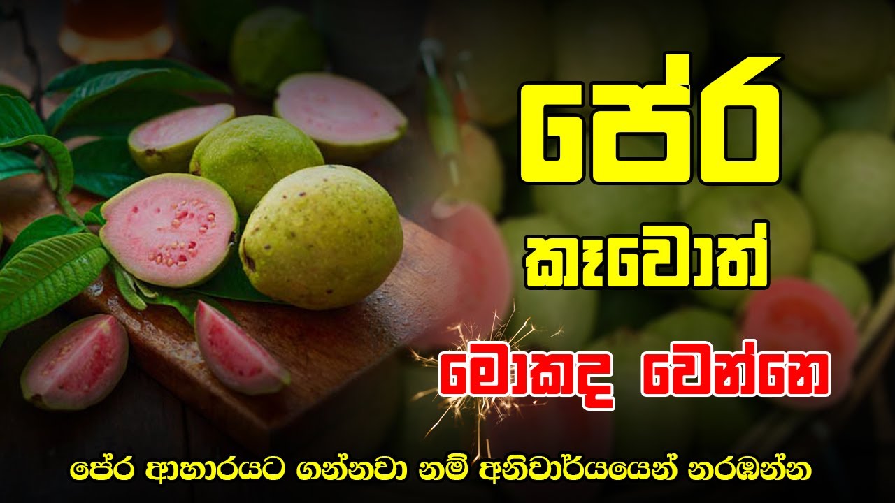 පේර ආහාරයට ගන්නවා නම් අනිවාර්යයෙන් නරඹන්න | පේර වල ගුණ | Pera - YouTube