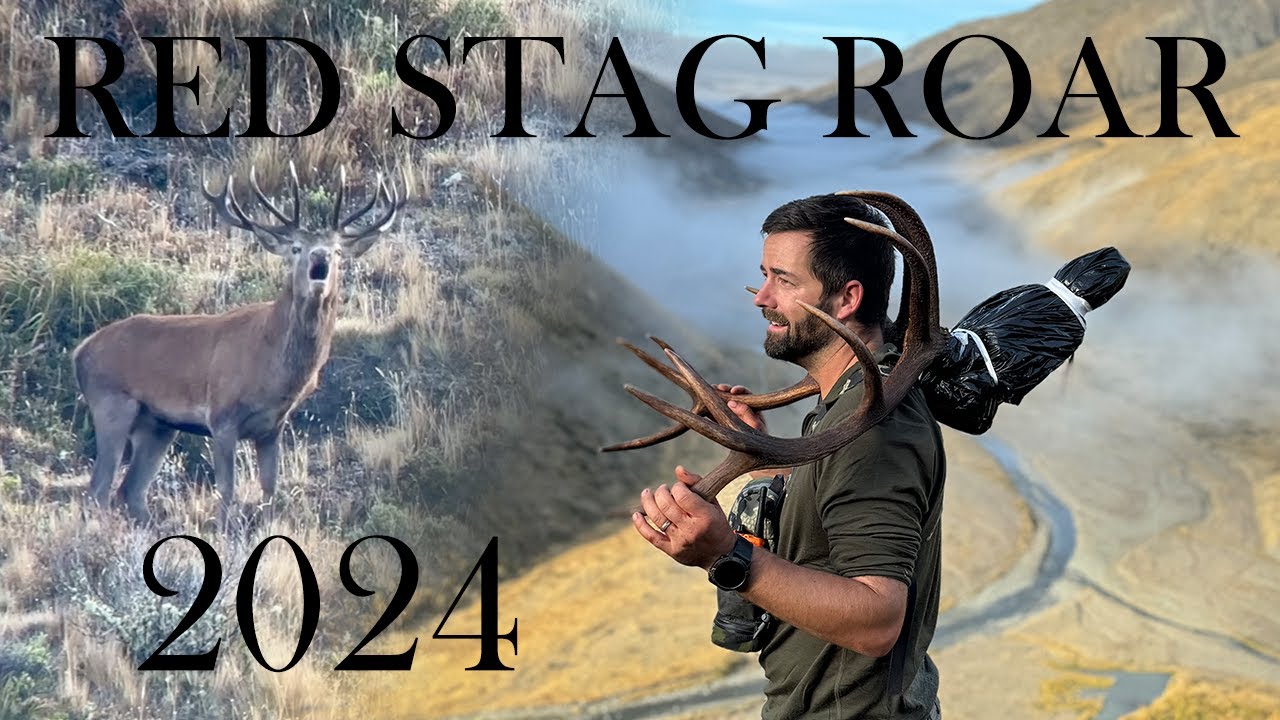 Red Stag Roar 2024 - YouTube