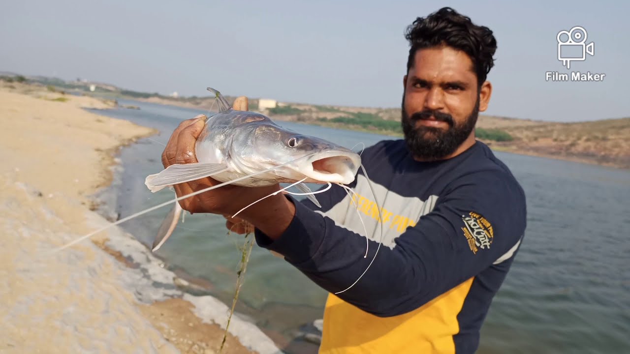 Big Jalla fish (ముట్టె జల్ల)catched in River - YouTube