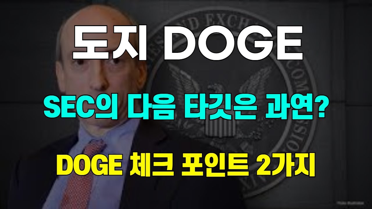 도지 DOGE SEC의 다음 타깃은 과연? DOGE 체크 포인트 2가지 - YouTube