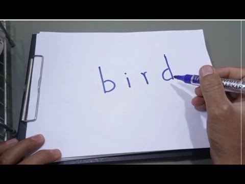 How to turn word Bird into Bird Cartoon/ បំប្លែងពាក្យ Bird( បក្សី ...