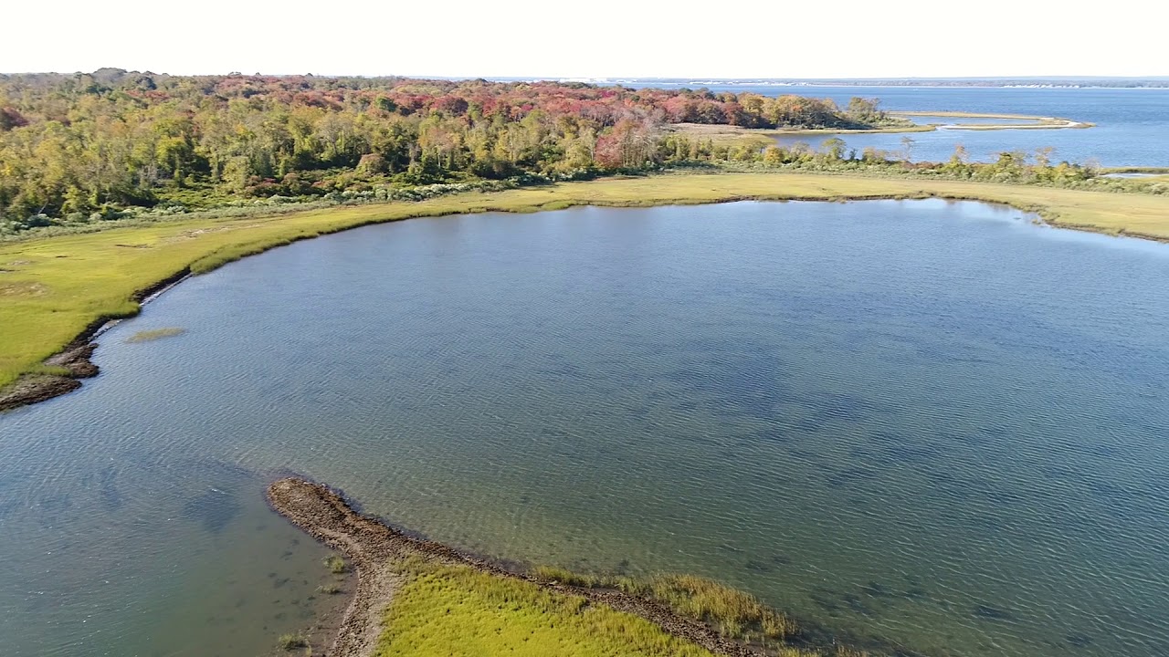 Coggeshall Marsh - Prudence Island, Rhode Island (Part 2) - YouTube