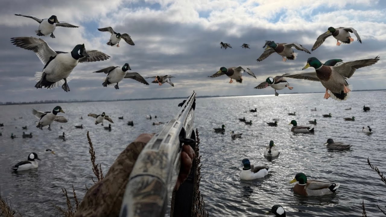 Late Season Duck Hunting On HUGE Water! - YouTube