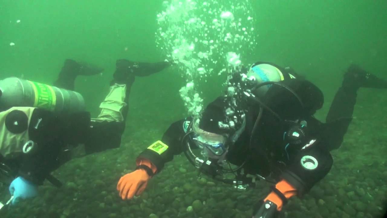 A nice dive on a Rainy Day... - YouTube