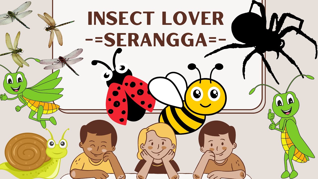 Learn Insects Names and Sounds, Names of Insects, Insects name english ...