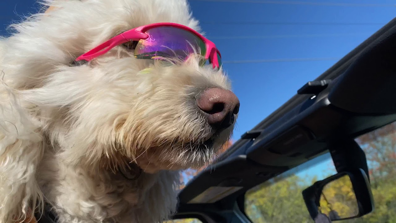 November 8, 2020 - YouTube