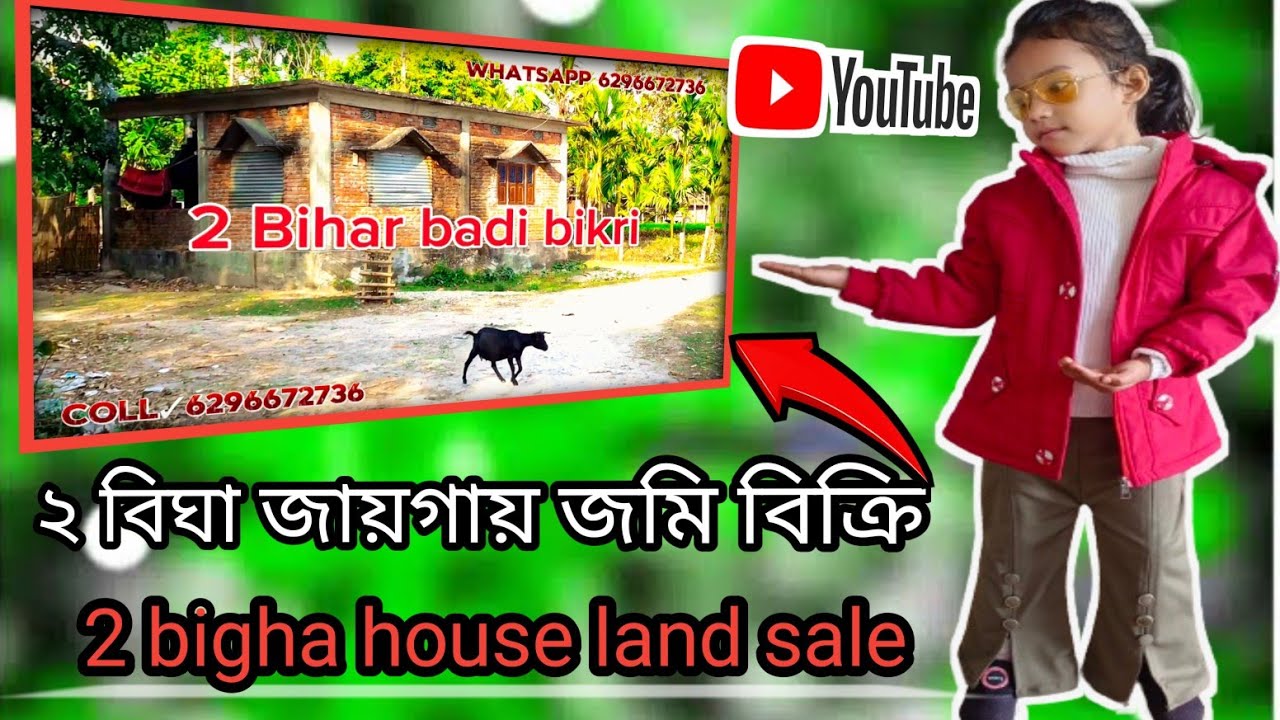 2 bigha house land sale ২/বিঘা বাড়ি জমি বিক্রি#AJPROPERYDEALER ...