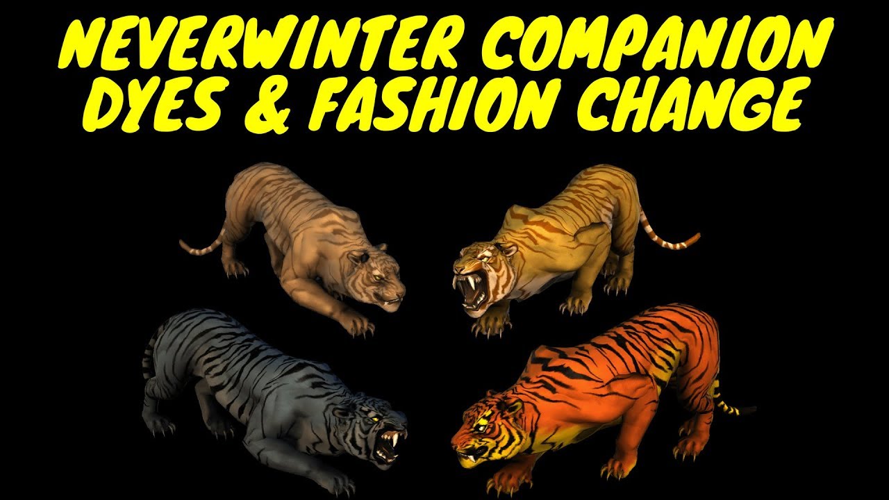 Neverwinter Companion Fashion & Dyes - Too Many Chultan Tigers & Con ...