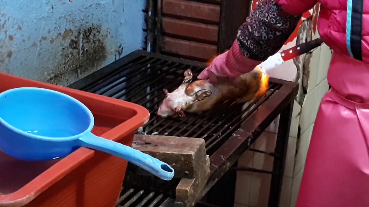 MAKANAN EXTREME KOREA - YouTube