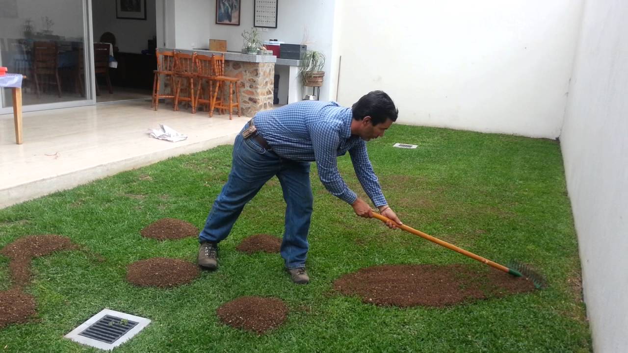 Como aplicar composta en jardin - YouTube