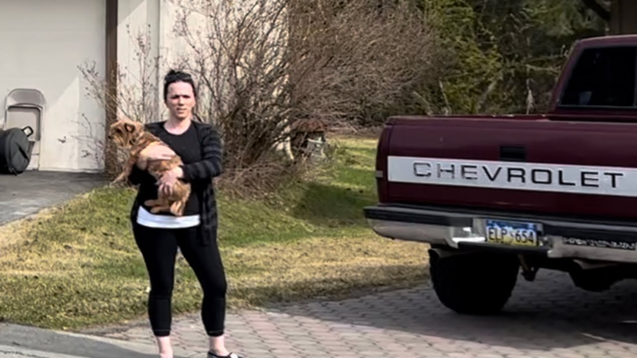 SWAT Damage Assessment on Nantucket Loop - Police Thugs Destroy Home ...