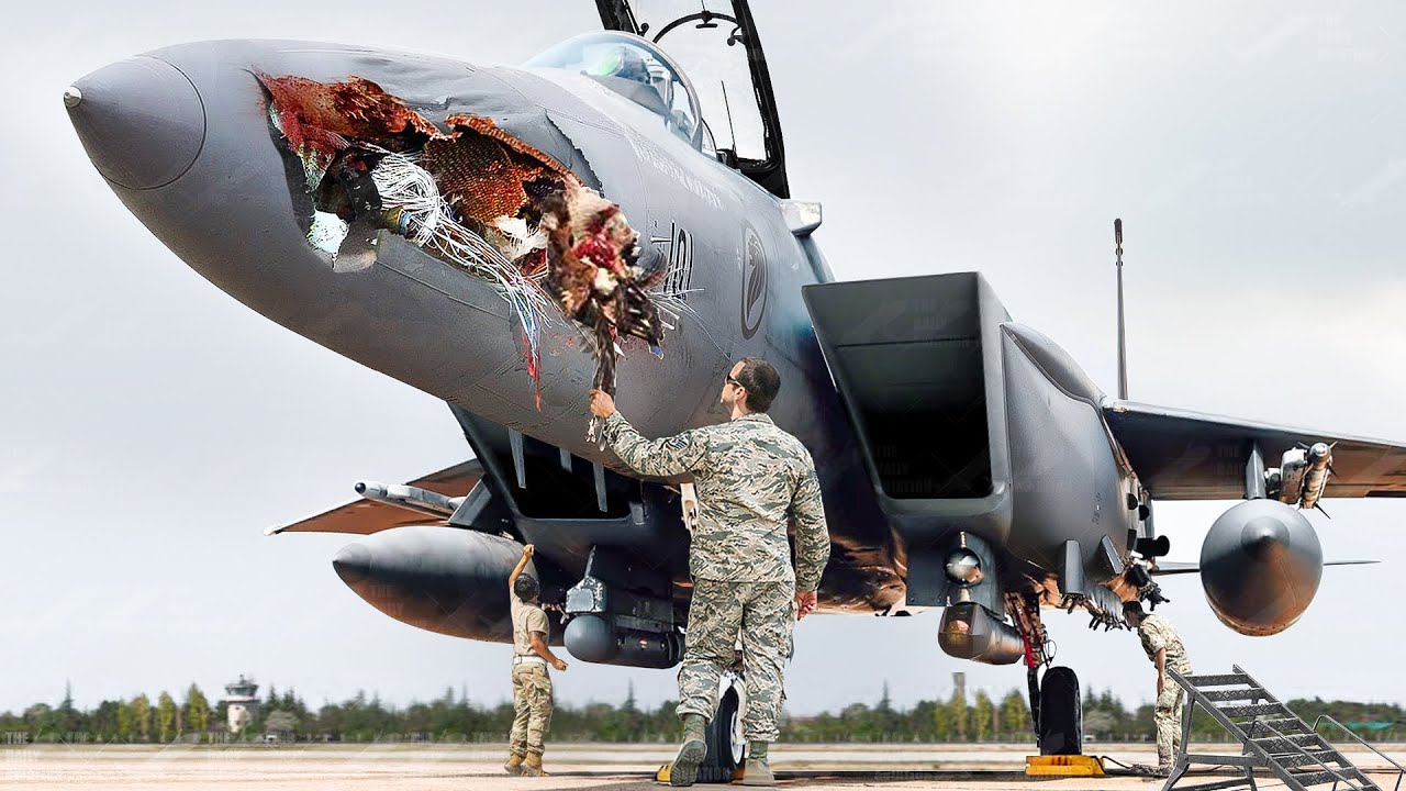 Genius Solution US Found to Prevent Scary Bird Strikes on Millions ...