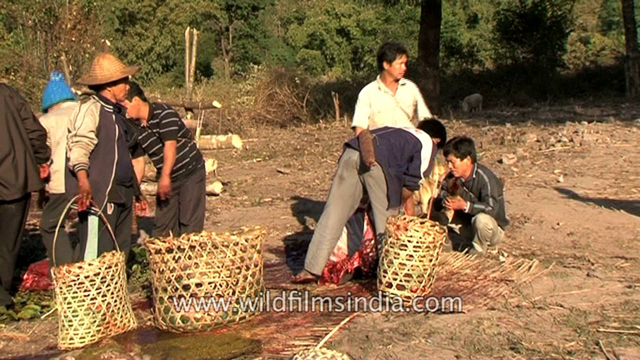 Preparation for feast begins : cutting mithun meat into pieces - YouTube