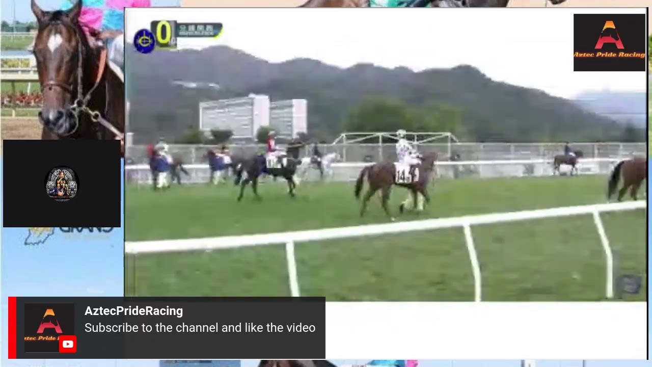 Los Alamitos & Cal Expo Harness live stream racing - YouTube