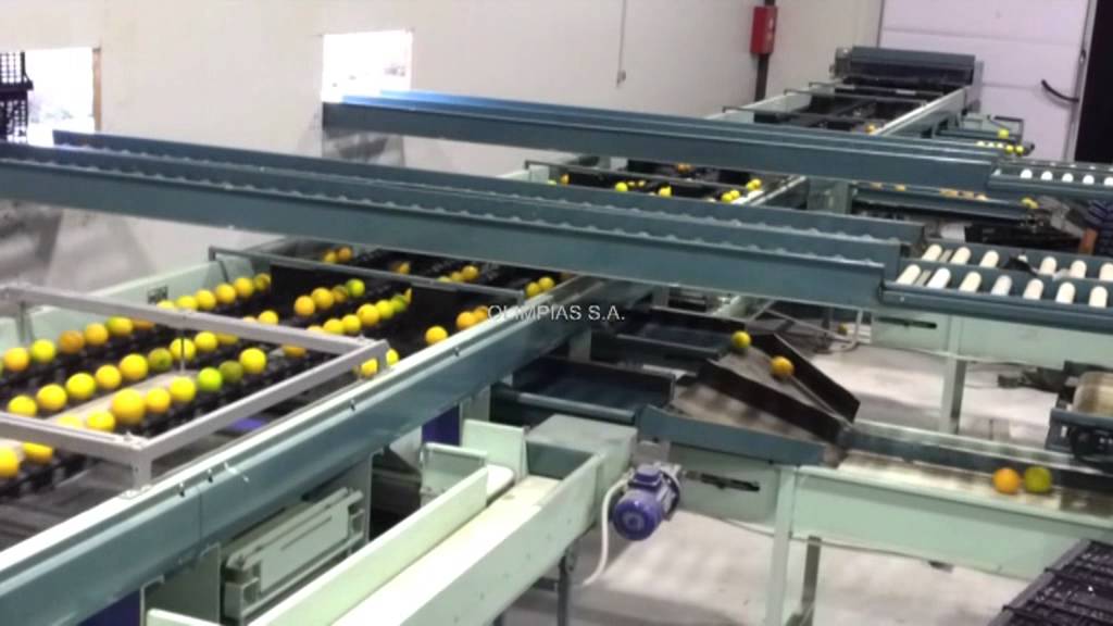 Γραμμή διαλογής ταξινόμησης. Grading , sizing machines processing line ...