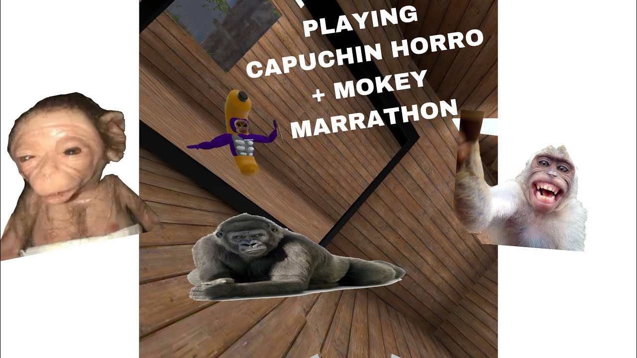 First video + Playing Capuchin vr - YouTube