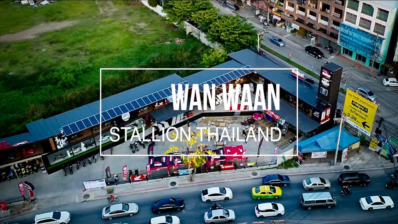 Wan Waan Meeting Stallions - YouTube