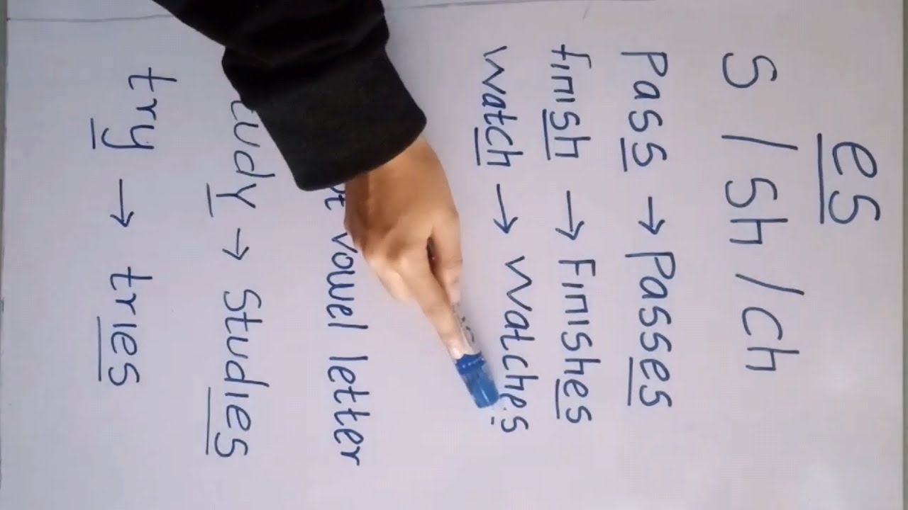 Simple present tense [s, es, ies] | ஆங்கிலம் கற்போம் - YouTube