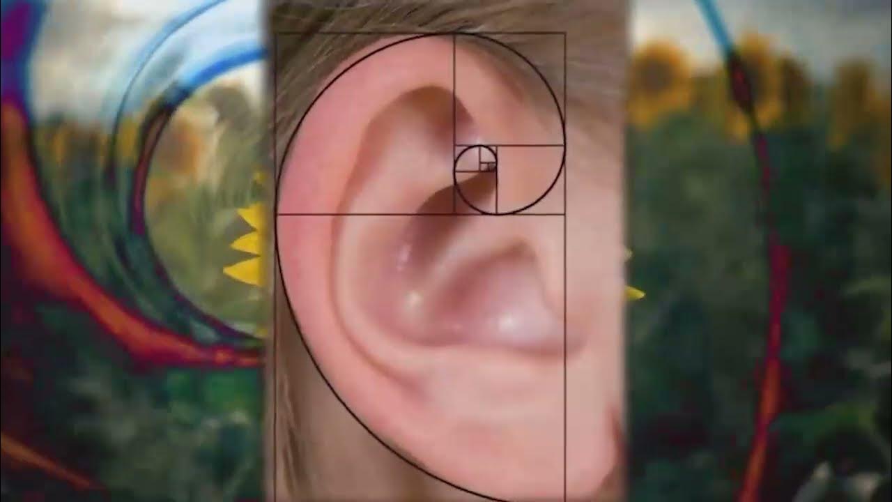 Crop Circle Fibonacci Series - YouTube