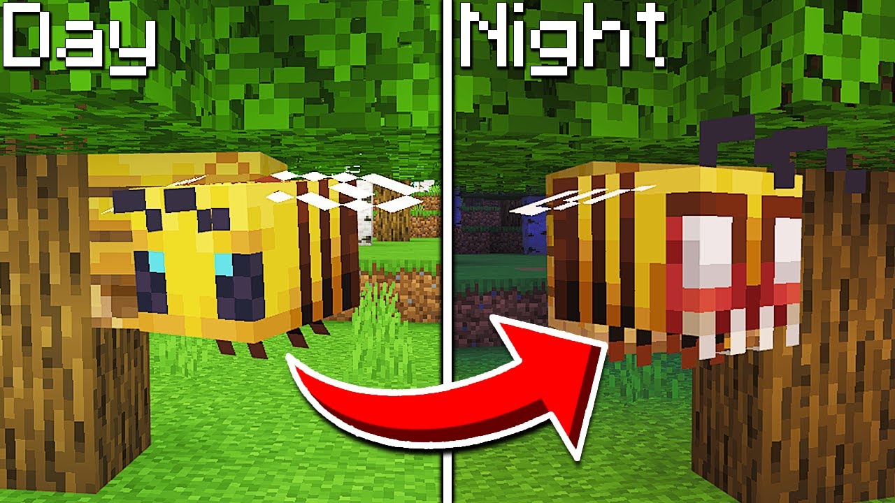 Minecraft BEES Become Scary At NIGHT... - YouTube