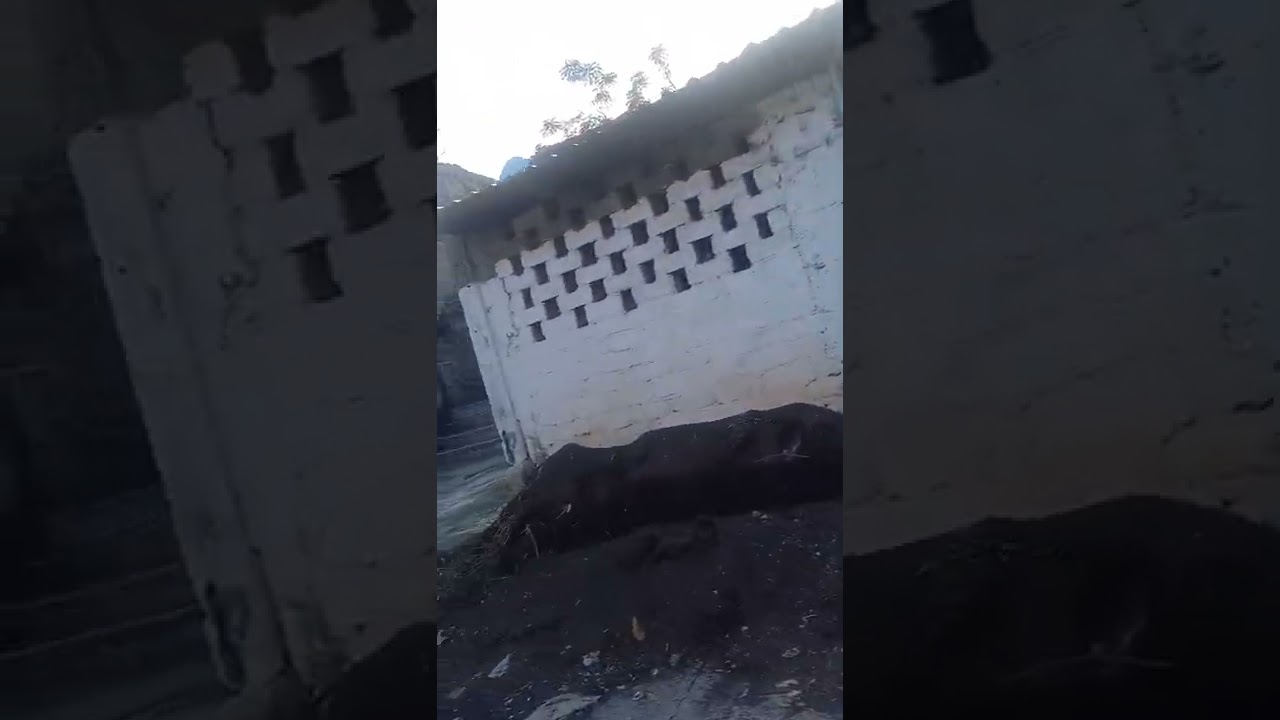 chupio michoacan - YouTube