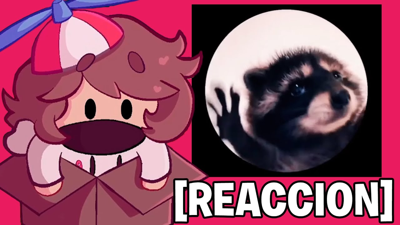 AQUINO VTUBER REACCIONA a PEDRO PEDRO PEDRO MAPACHE - YouTube