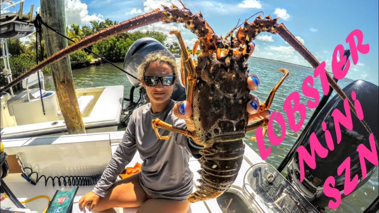Florida Lobster Hunting For Success - YouTube