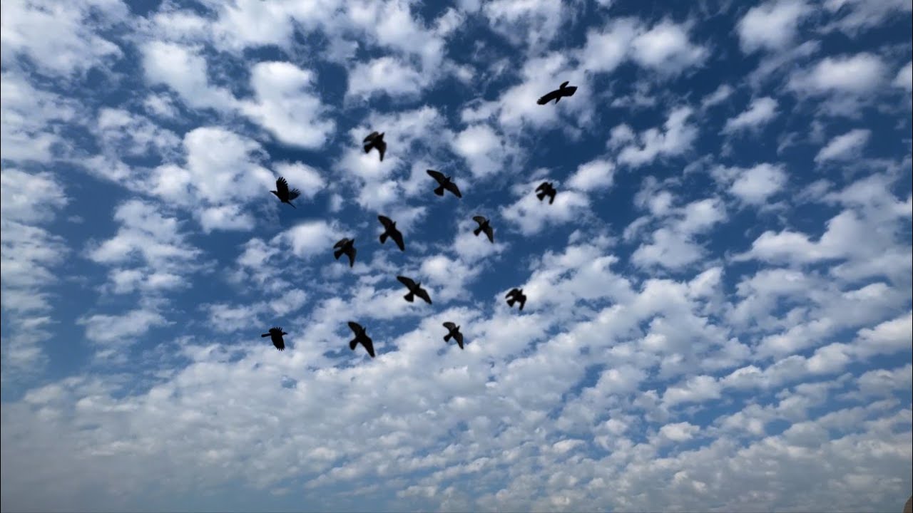 Badal background status video - YouTube