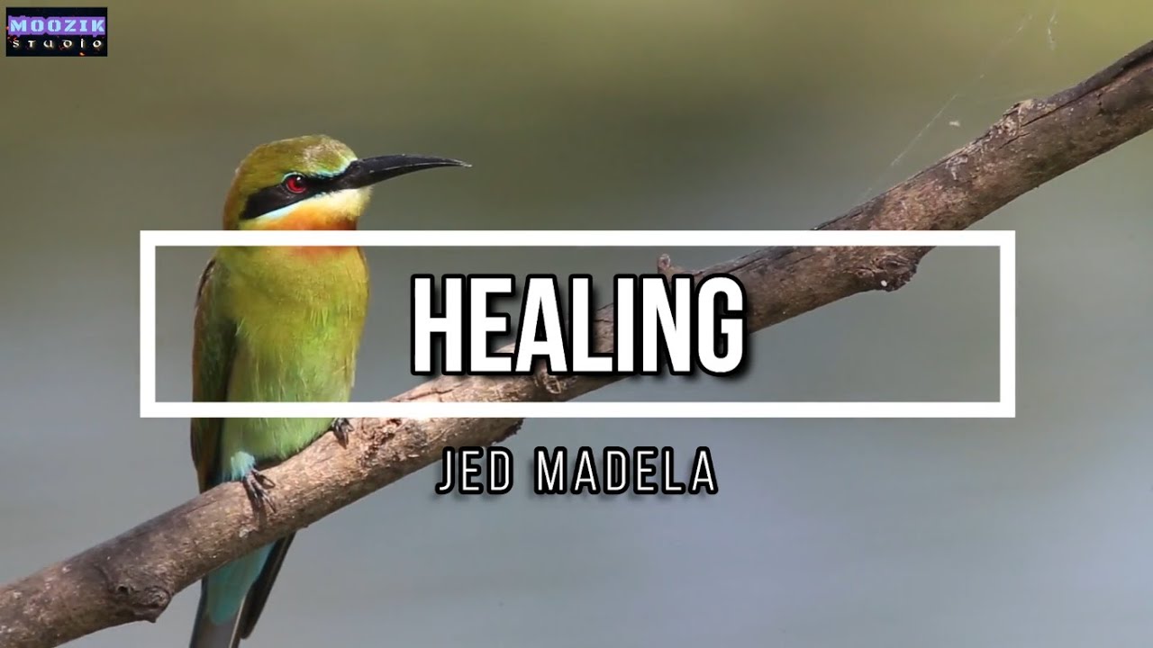 Healing - Jed Madela (Lyrics Video) - YouTube