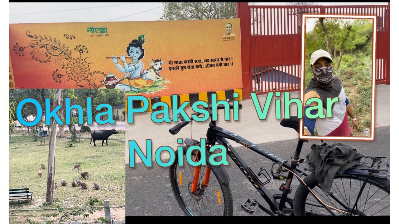 Okhla Pakshi Vihar 🕊️🦅🦜🦚| Vlog 13 #birds #birdsounds #cycling #peacock ...