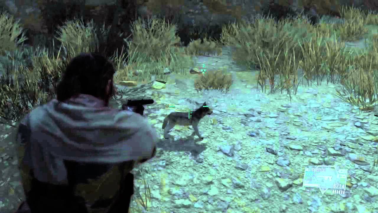 Where to find D-Dog in MGSV: The Phantom Pain - YouTube