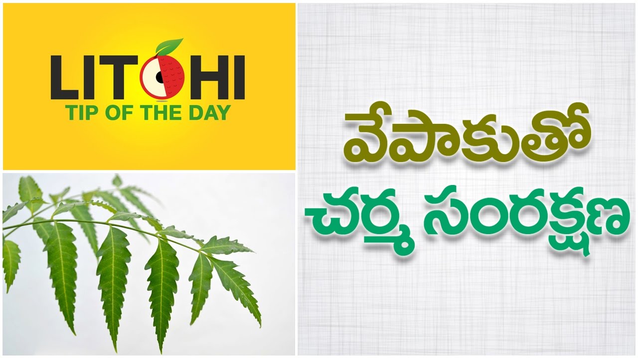 Uses of Neem (vepaku) leaves For Skin Care | Home Remedies for Skin in ...