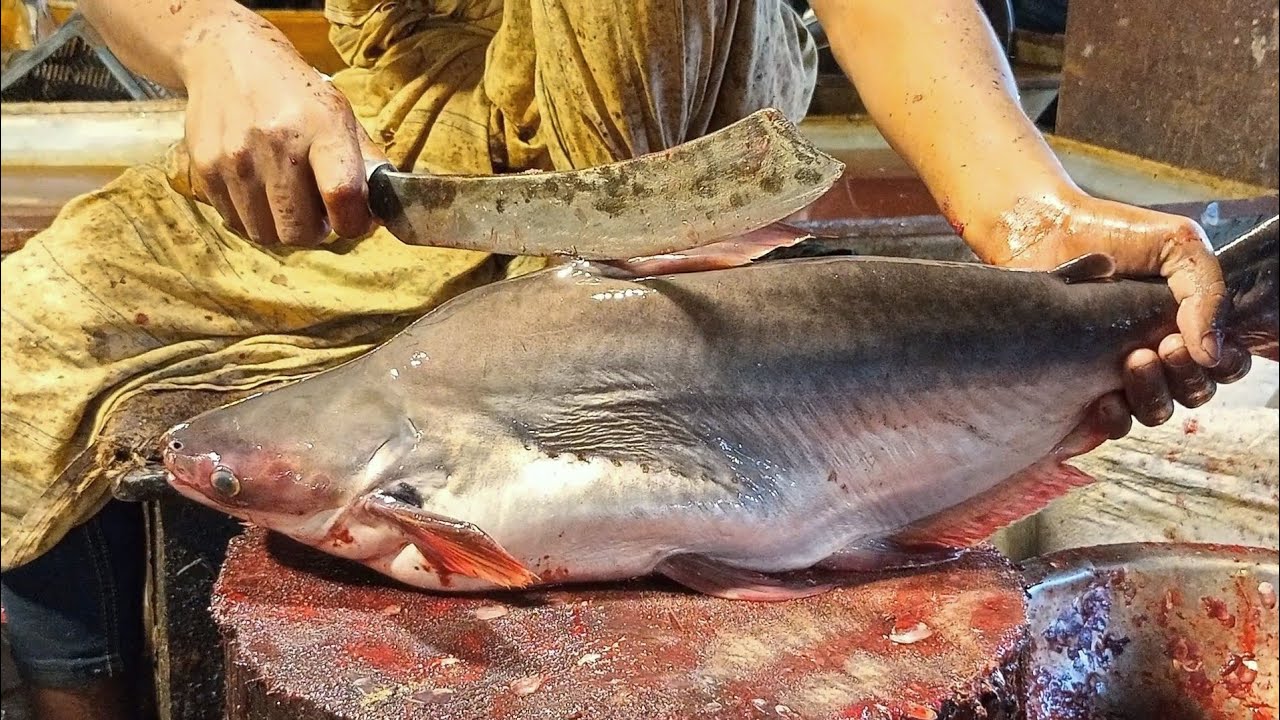 Incredible Big || Tilapia & Pangasius Fish Cutting Live In || Fish ...