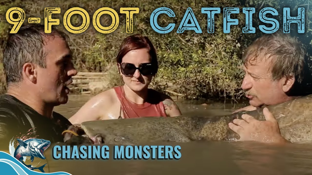 Paris Noodling: Fish vs Man! - Chasing Monsters - Fishing Show - YouTube