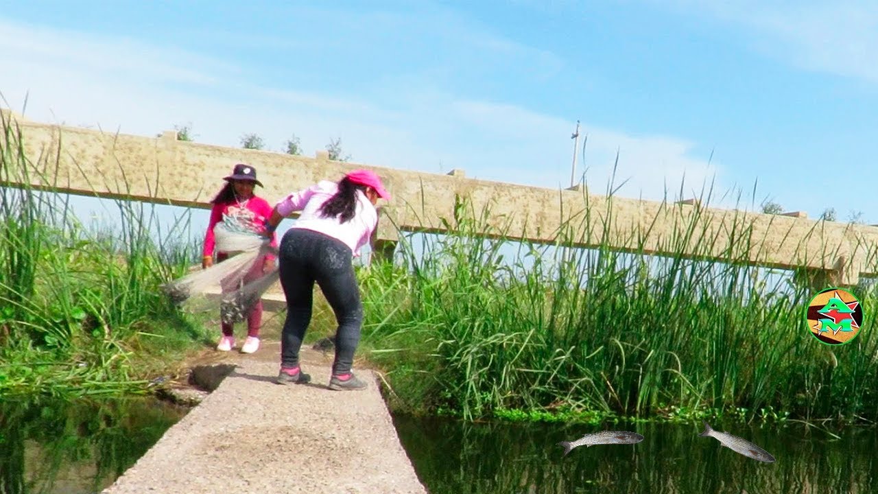 MIRA ASÍ PESCA ESTA MUJER CON ATARRAYA EN RÍO, fishing with atarraya ...