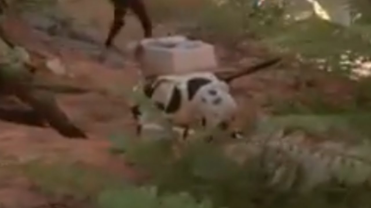 Stormtrooper crying on the ground. - YouTube