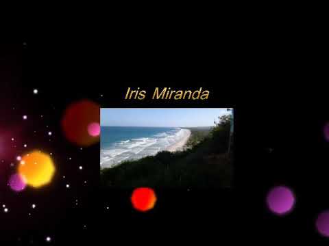 Cantora Iris miranda