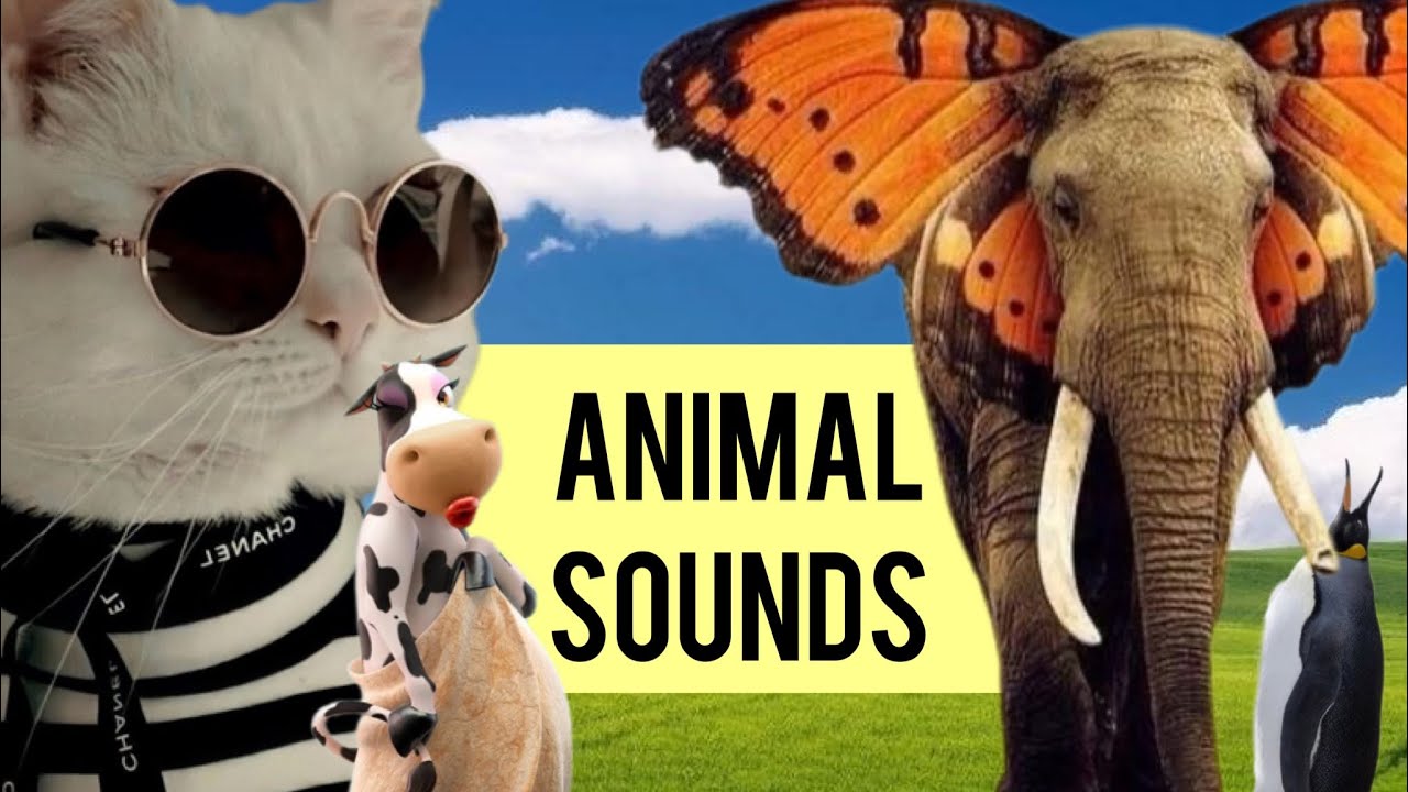 Learn animal sounds: cow, cat, hourse, camel - YouTube