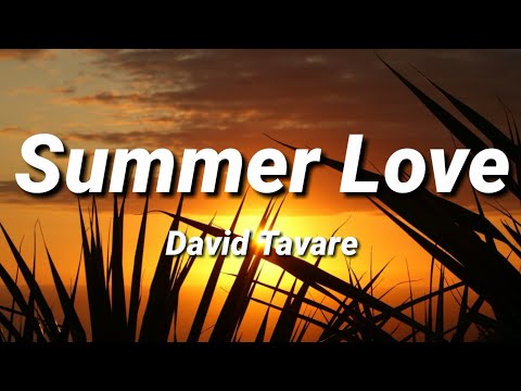 David Tavare - Summer Love [Letra/Lyrics]