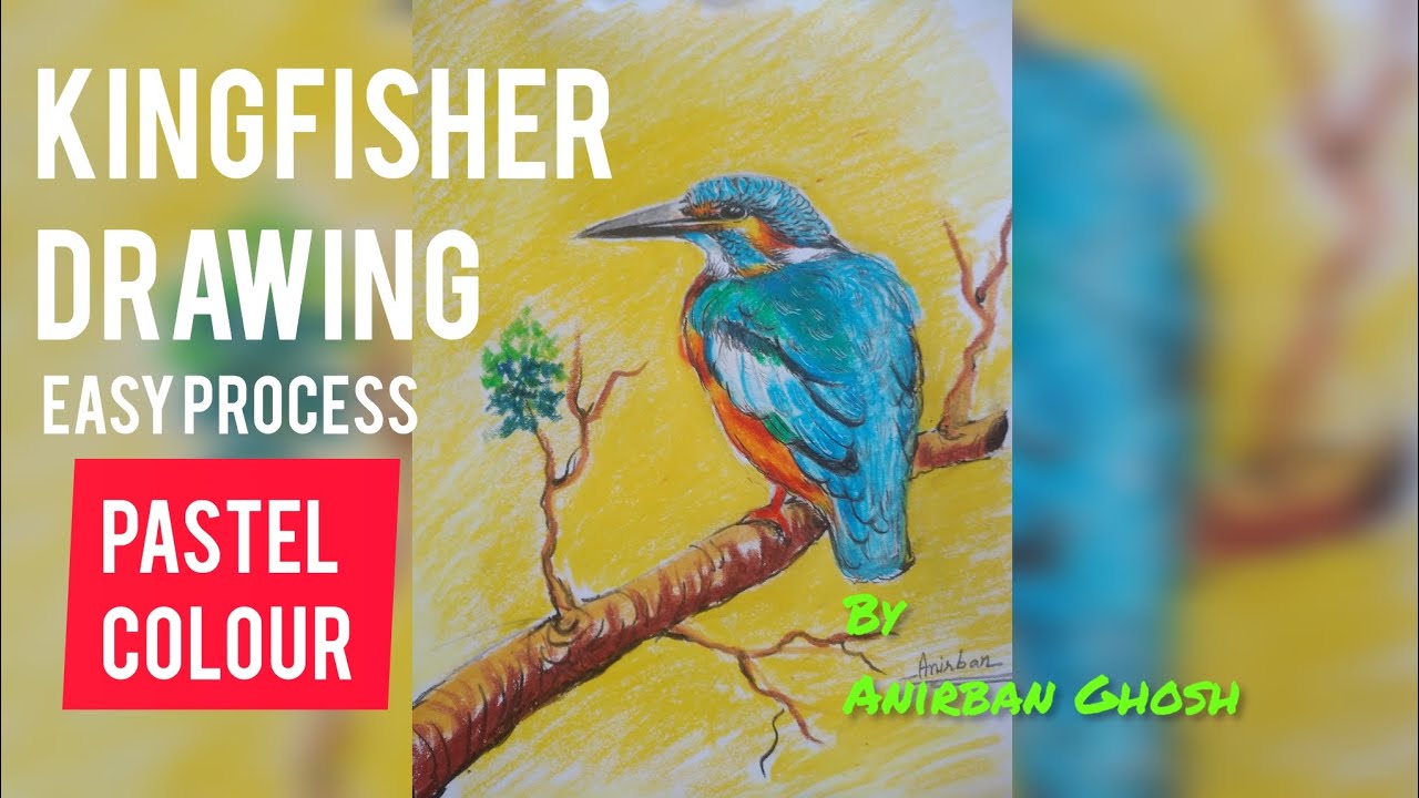 Kingfisher drawing||Kingfisher drawing easy||Kingfisher drawing oil ...