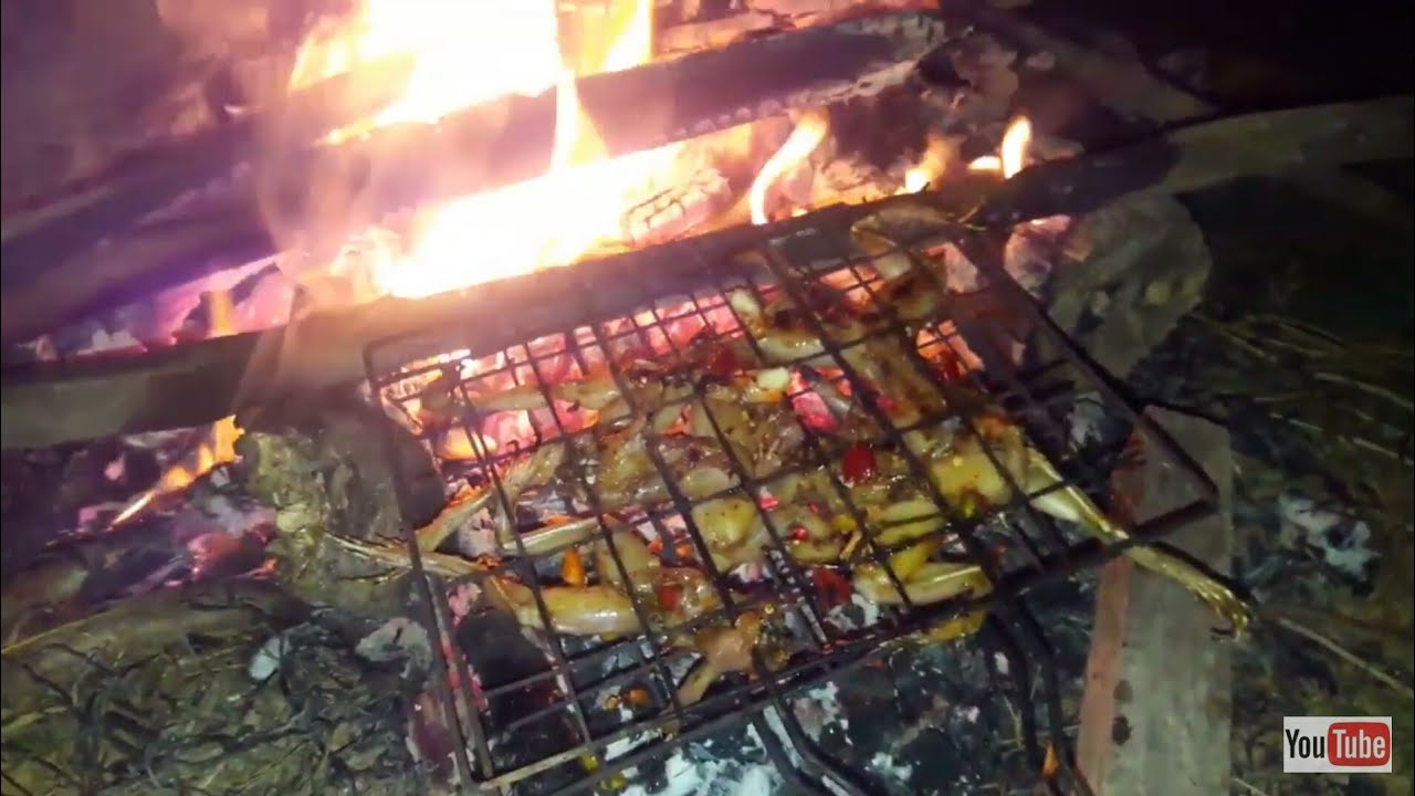 Primitive food-Catch n Cook Frog Recipe - Catch n Cook Frog on a Rock ...