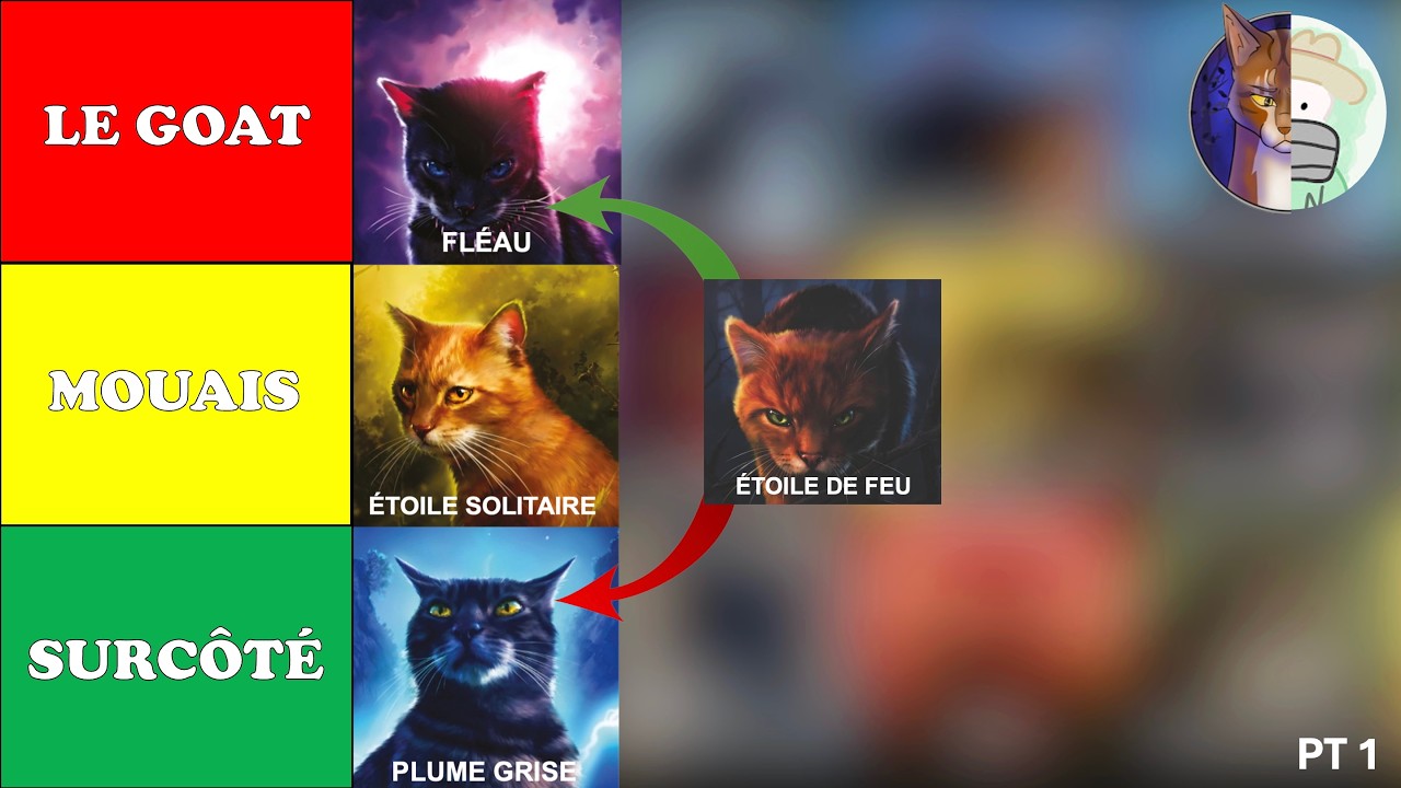 On classe les persos LGDC (ft. @lordm-lgdc) - YouTube